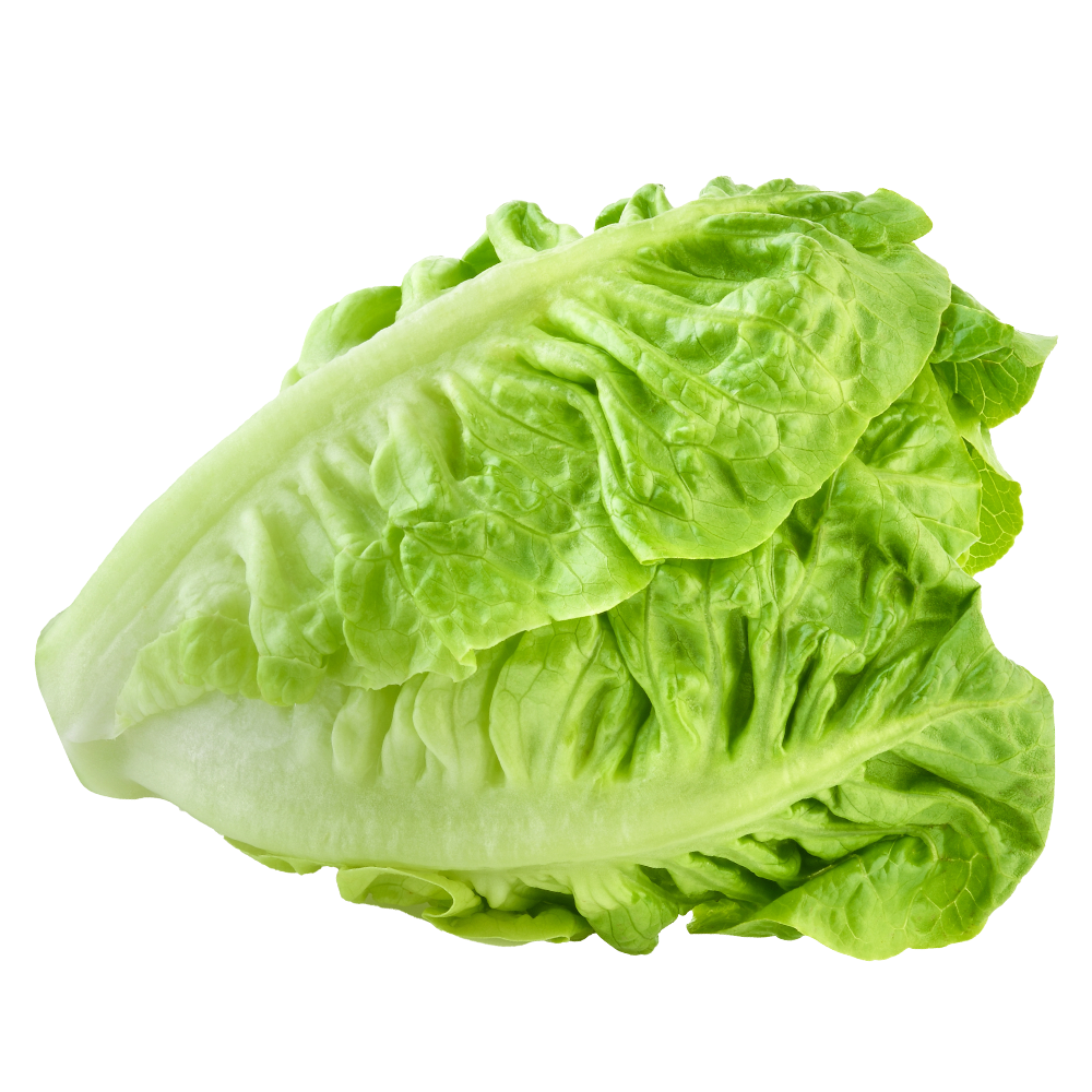 Yıkanmış Yaprak Marul Paket